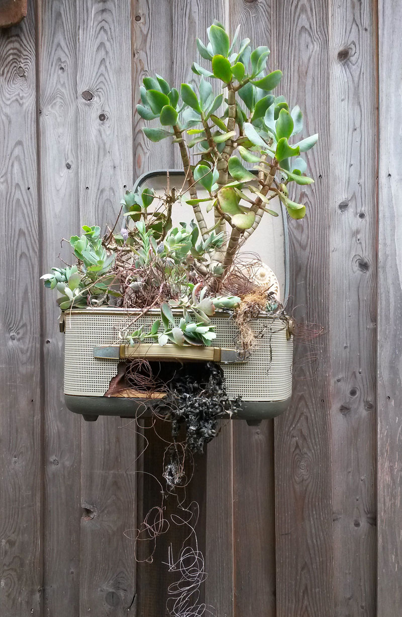 upcycling - aus alt mach neu mit Blumen und Pflanzen